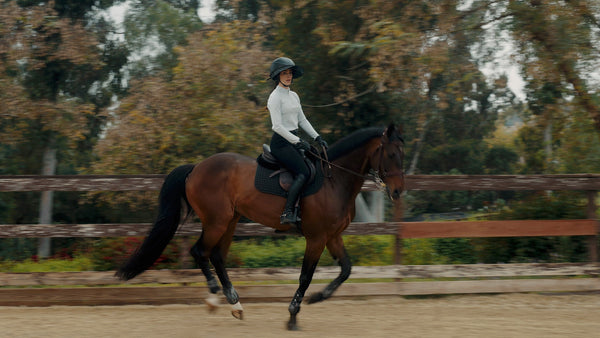 Wonder Women – CALLIDAE