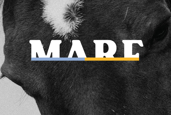 CALLIDAE: The Women Who Make It Happen