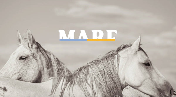 The MARE Project – CALLIDAE