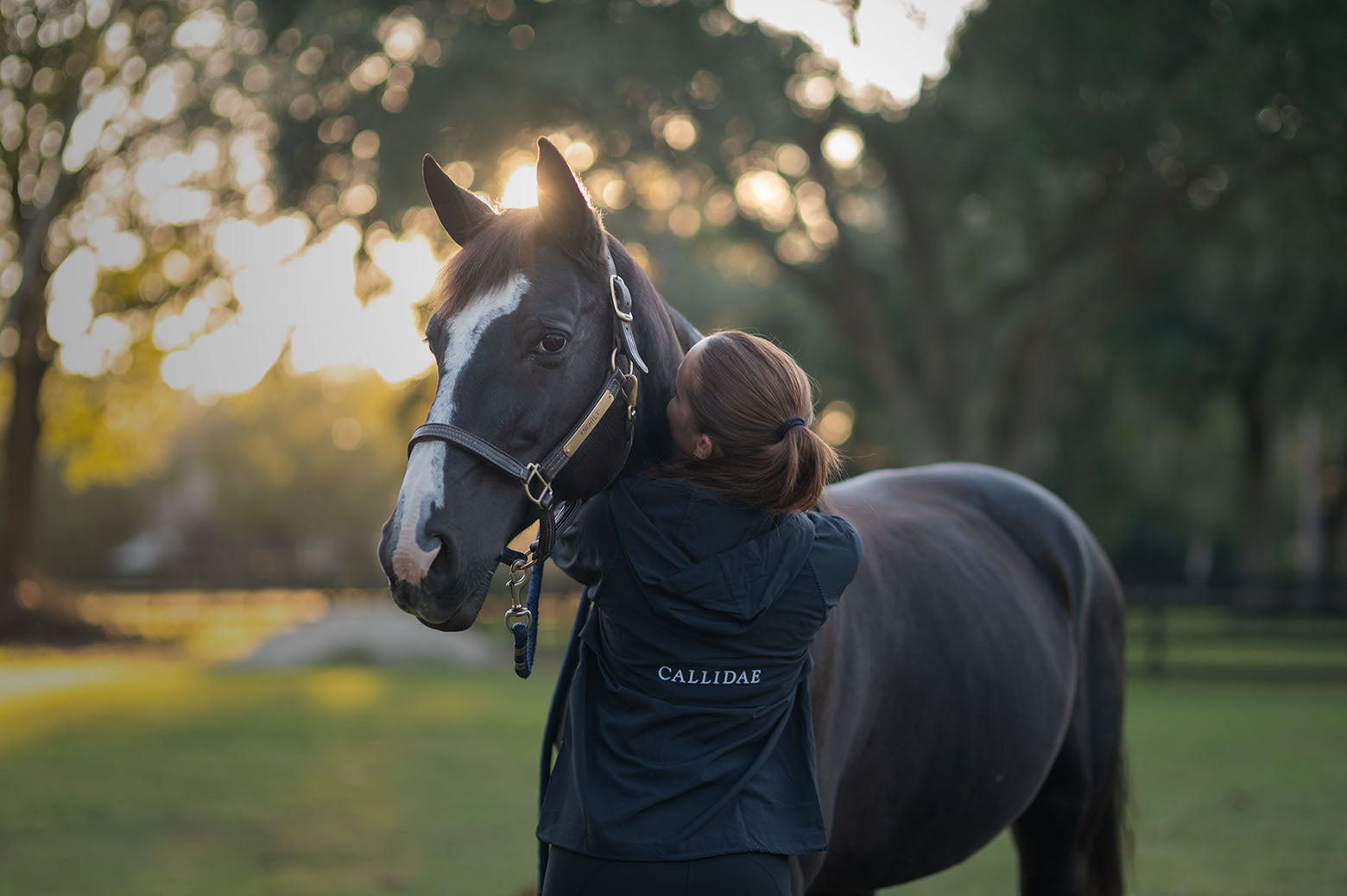 Callidae | Tradition Unbridled – CALLIDAE