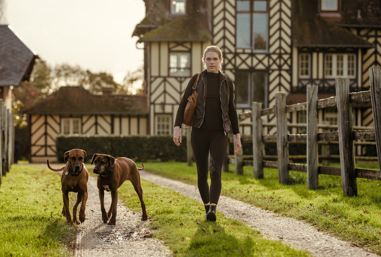 CALLIDAE | Tradition Unbridled