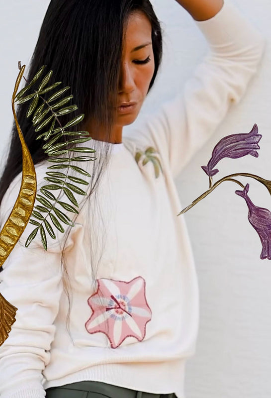 CALLIDAE | Tradition Unbridled